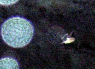 Davelis Cave, Mount Pendeli, Athens, Greece